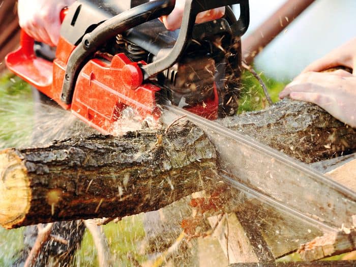 Tree Services Lehigh Valley, PA | Certified Local Arborists